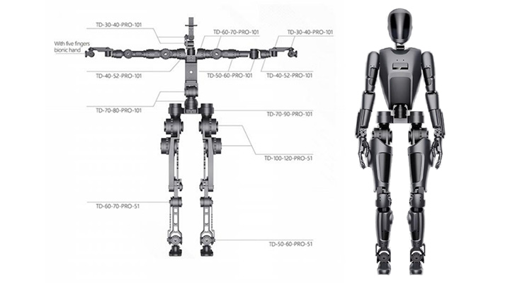 Humanoid robot walking test with TD robot joint actuators